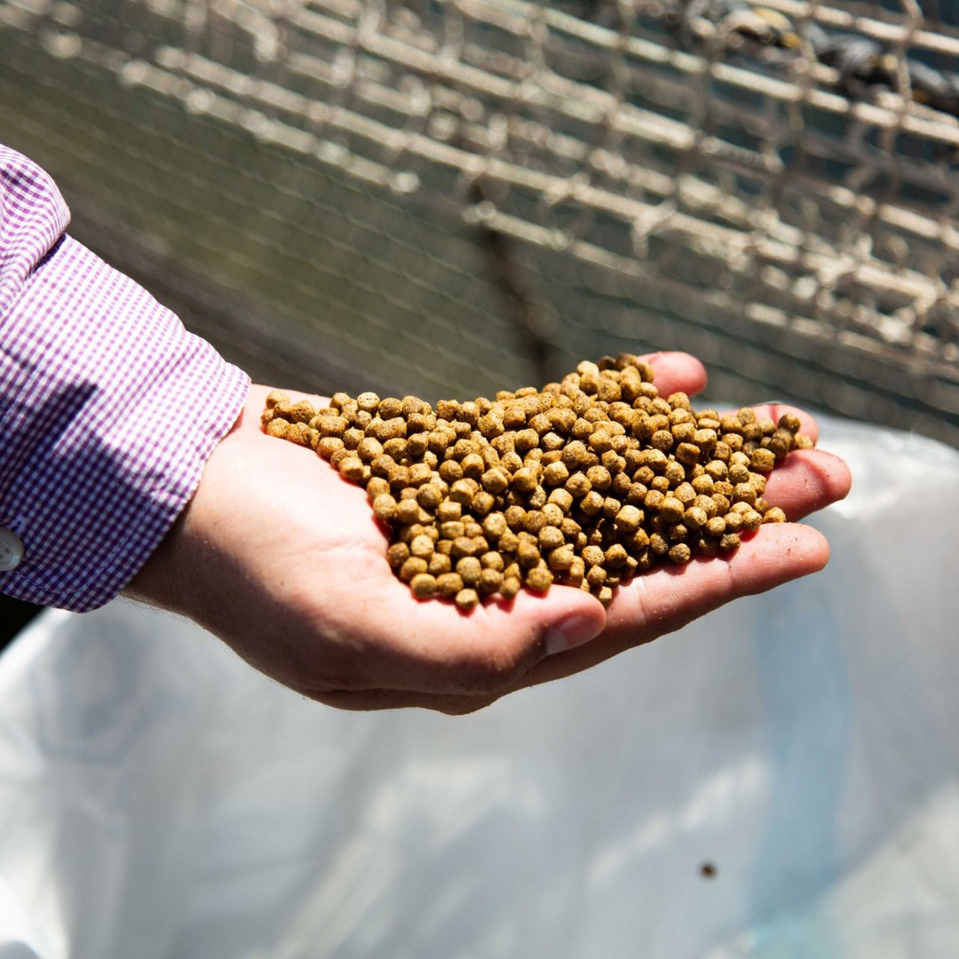 The Bap Label Best Aquaculture Practices